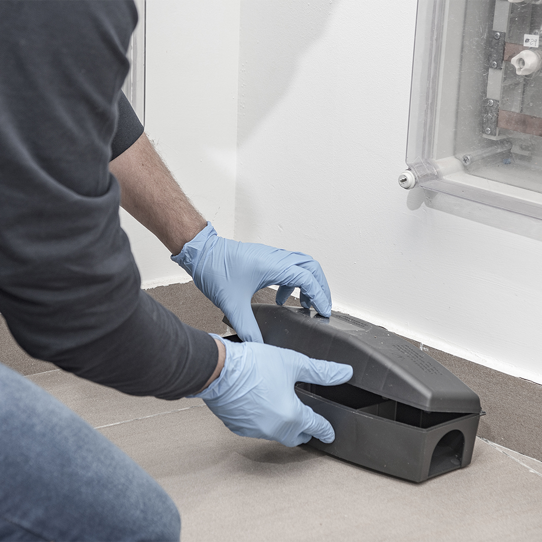 Dératiseur : entreprise de dératisation | MANICO 3D